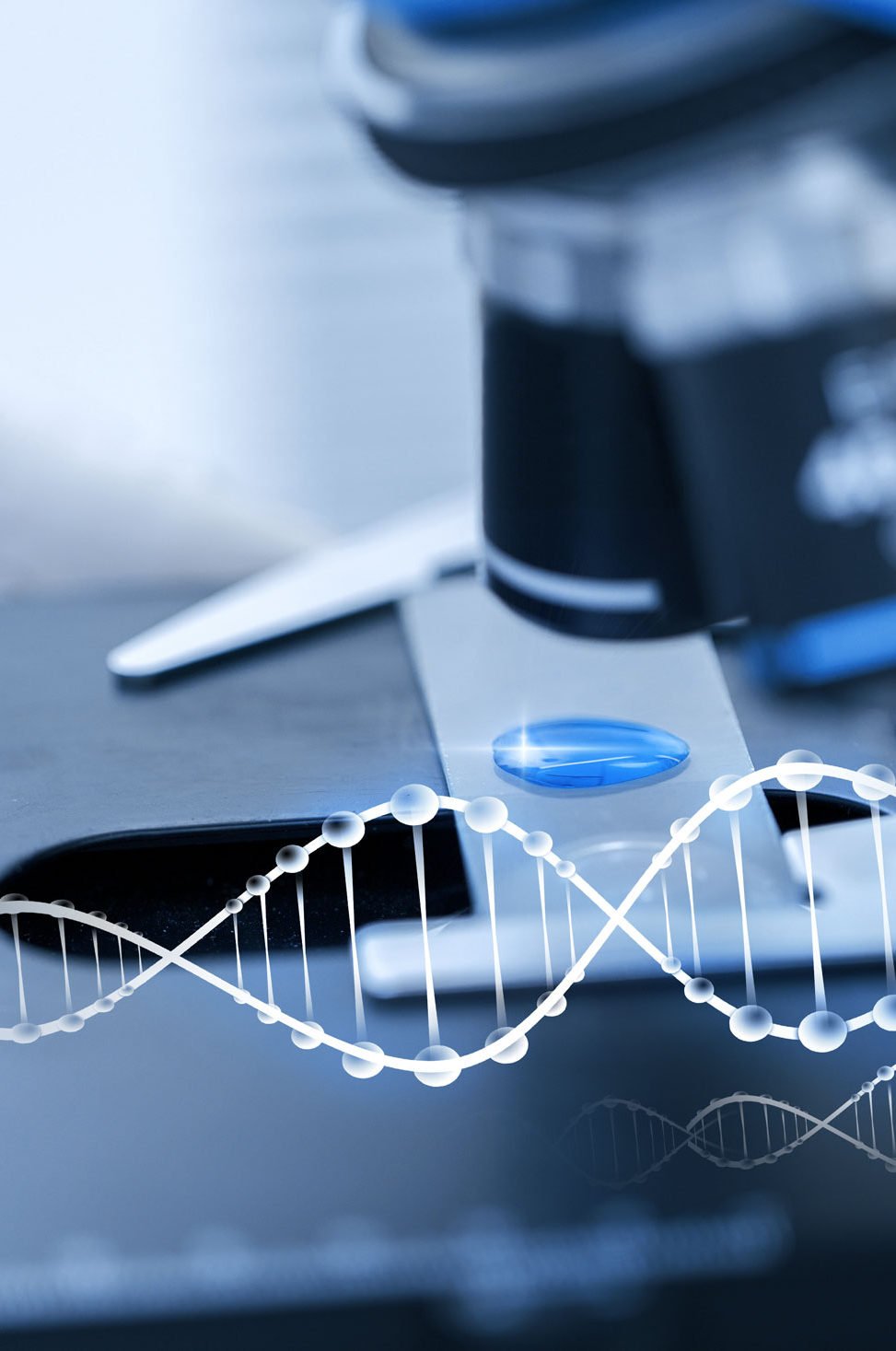 Strategy - Primex Pharmaceuticals Ltd.